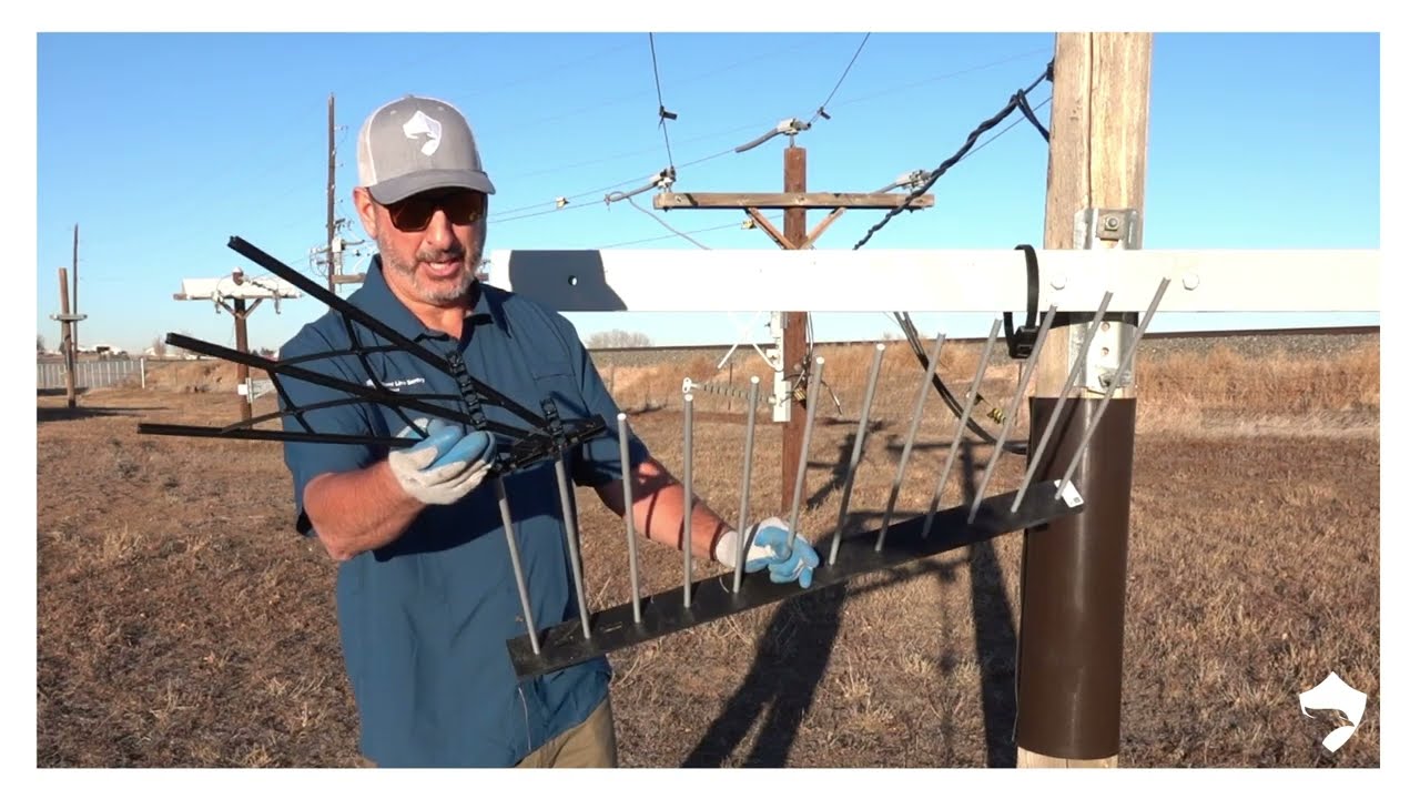 Power Line Sentry Raptor Guard Spikes EC Assembly Tutorial