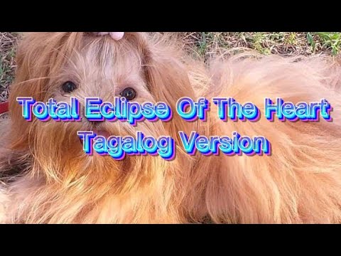 Total Eclipse Of The Heart| Tagalog Version by Mystica