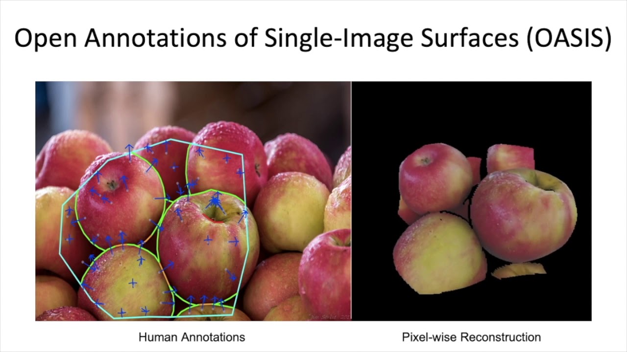 OASIS: A Large-Scale Dataset for Single Image 3D in the Wild