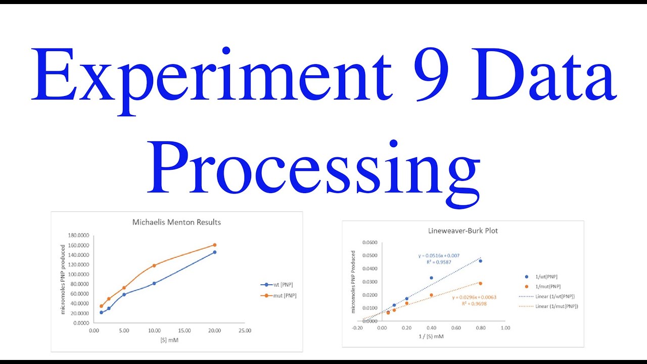 Experiment 9 Data Processing