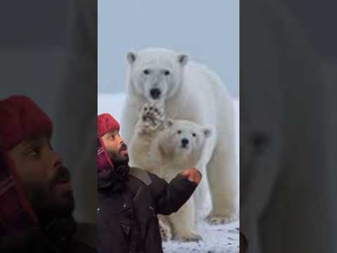 Alaska will pay you to move there!