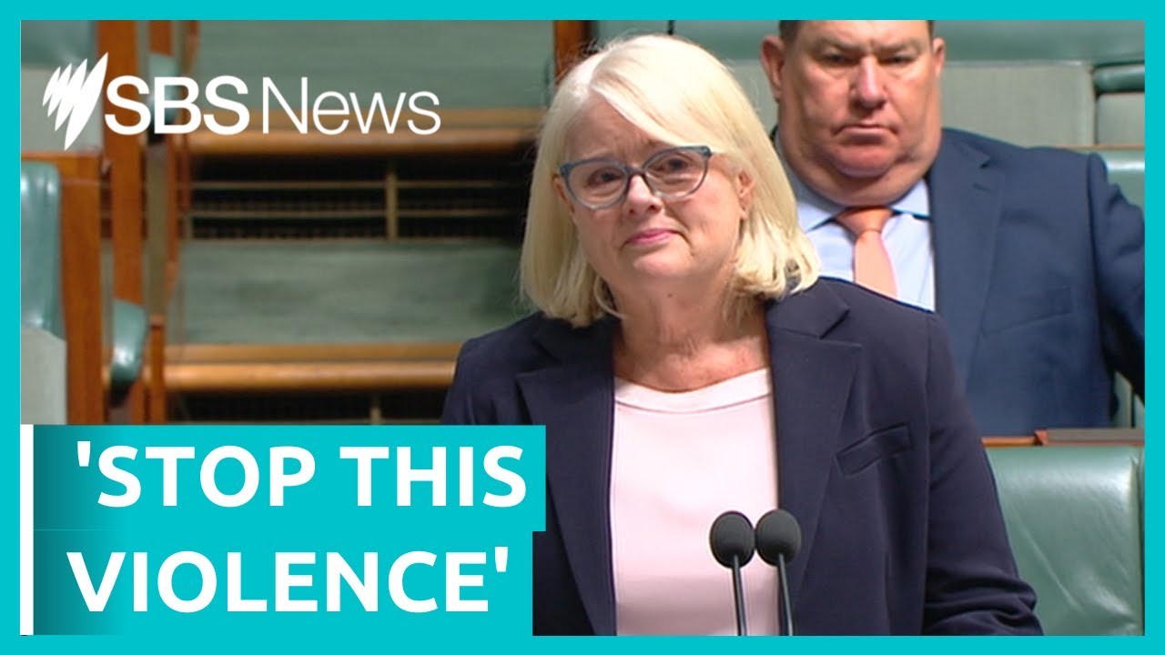 Liberal MP delivers emotional speech on domestic violence | SBS News