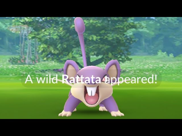 Can Rattata be shiny in Pokemon GO?