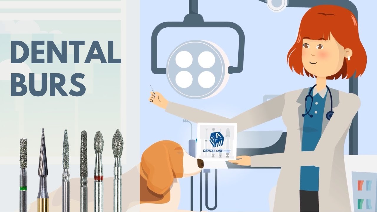 Dentalaire   How to Safely and Effectively Use Dental Burs