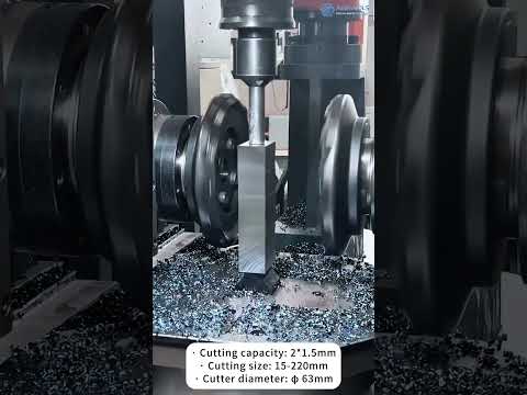 🚀 ASIATOOLS TH-220NCG CNC Duplex Milling Machine - The Future of 4-Side Machining!