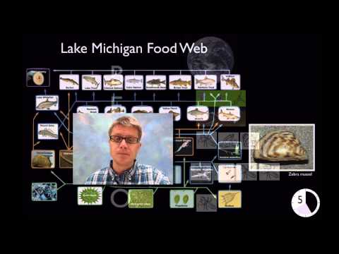 LS2A - Interdependent Relationships in Ecosystems