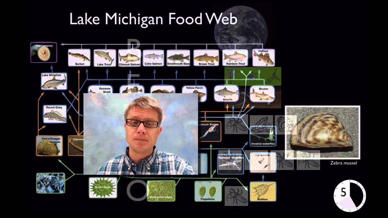 LS2A - Interdependent Relationships in Ecosystems
