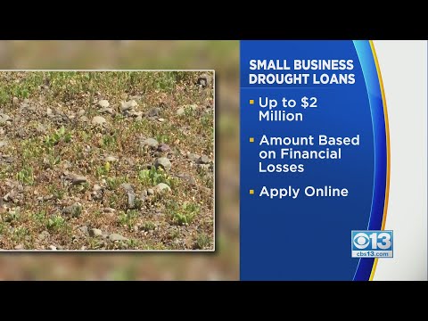 Businesses In California Can Now Apply For Disaster Relief Loans