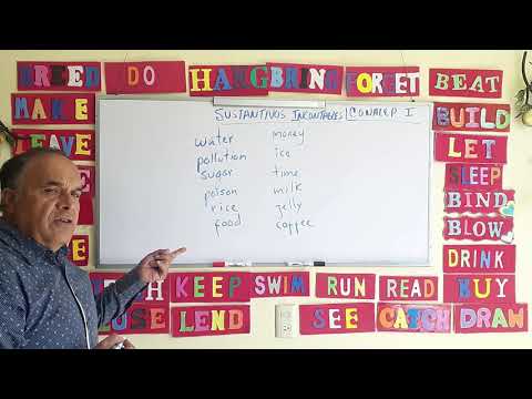 SUSTANTIVOS INCONTABLES (PRIMER SEMESTRE CONALEP)