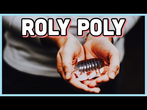 CUTE BABY TRYING TO SAY ROLY POLY // Discovering a Roly Poly Bug for the First Time