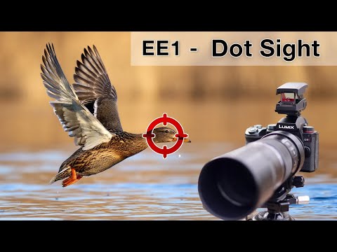 Olympus dot sight - Does it live up to the hype?