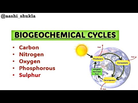 Biogeochemical cycles - Carbon, Nitrogen, Oxygen, Sulphur Video Lecture ...