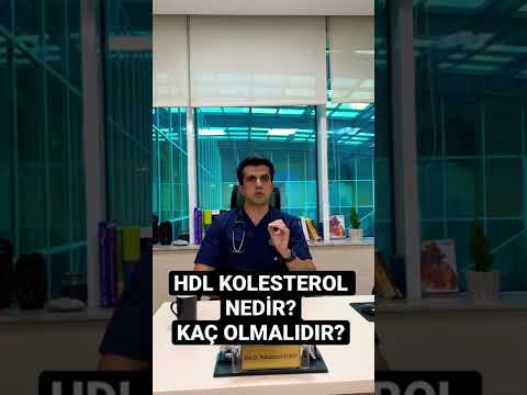HDL Kolesterol Nedir? HDL Değerimiz Kaç Olmalıdır?