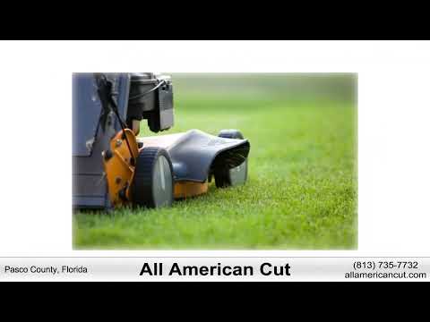 Lawn Mowing Service Port Richey FL