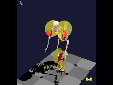 Range of motion