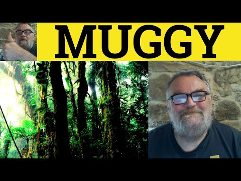 🔵 Muggy Meaning - Muggy Weather Examples - Muggy Definition - Muggy Defined - Muggy Weather Means