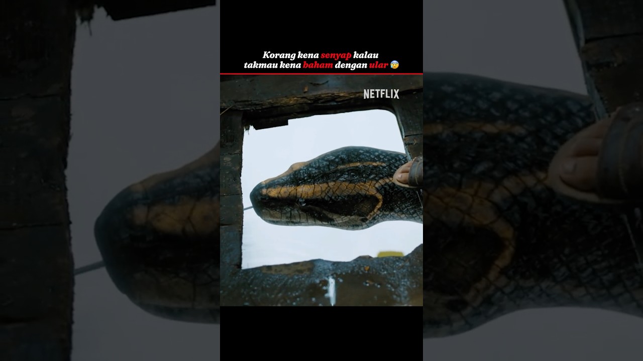 Kena Baham Dengan Ular? | Anaconda: Cursed Jungle | Netflix