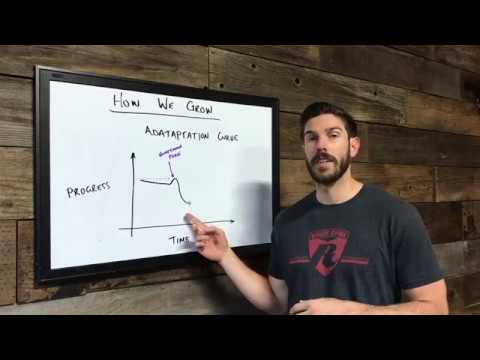 Adaptation Curve and How We Grow – The Nate Chambers