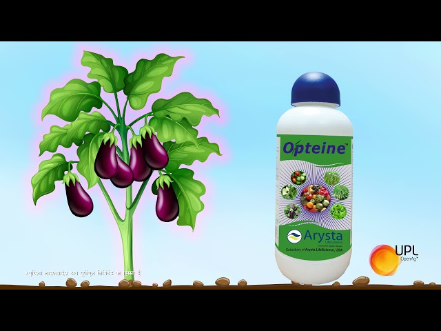 Plant Growth Promoter - OPTEINE (bio-stimulant) - 1 Ltr Trader ...