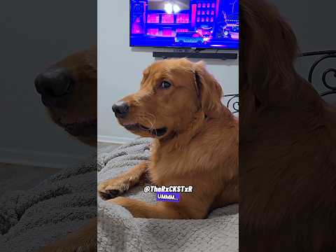 He Didn’t Take The News Very Well! - RxCKSTxR Comedy Voiceover