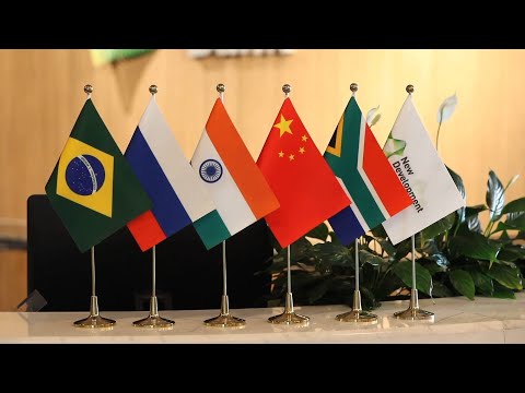 GLOBALink | BRICS is one of very fine global institutions: Indian expert
