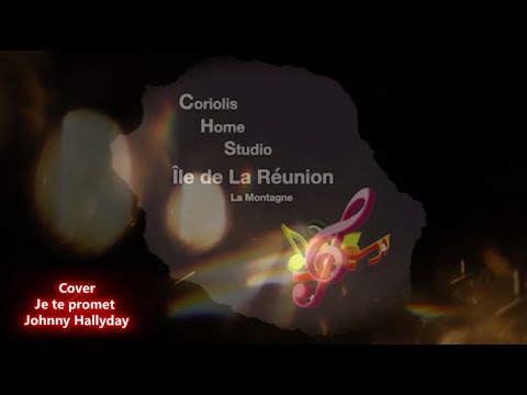 COVER Je te promets de Johnny Hallyday