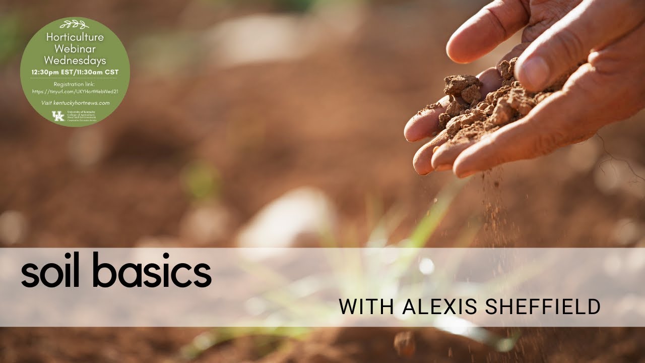 Soil Basics