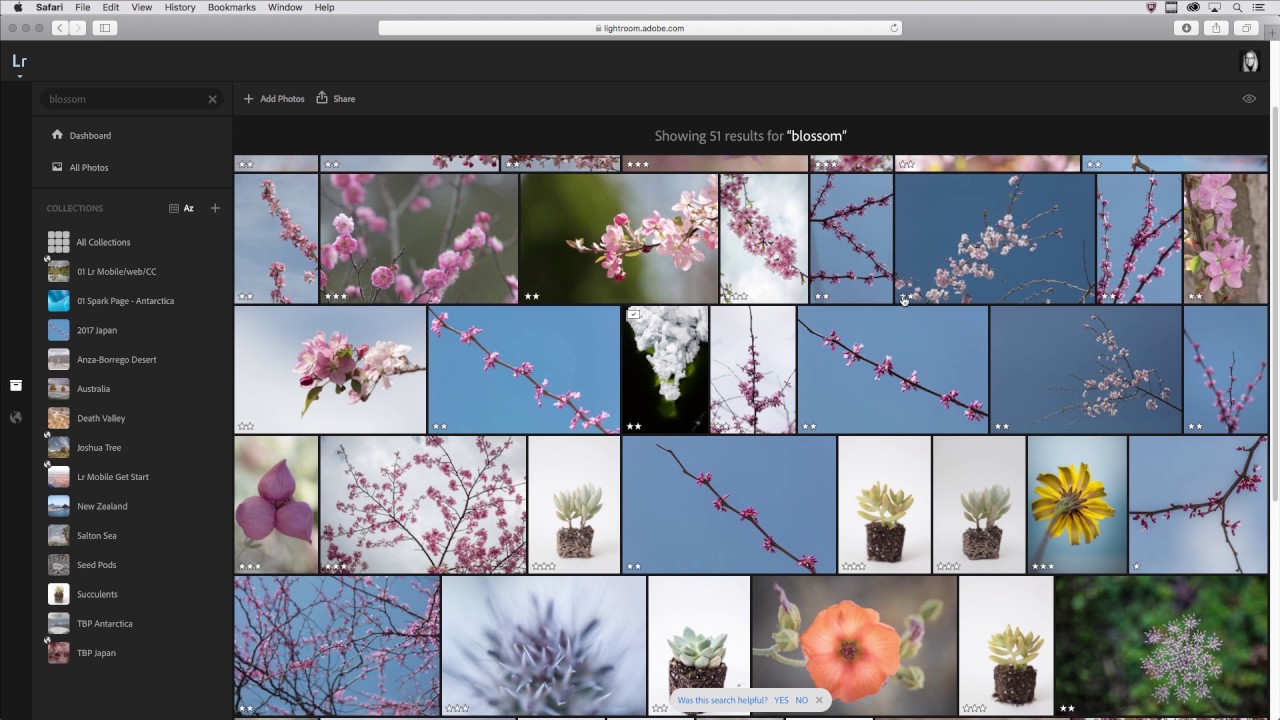Quickly Finding Photographs in Lightroom Web | Adobe Lightroom