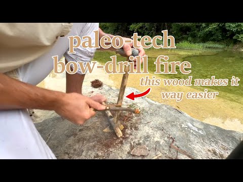 FIRE-STARTING METHODS AND SPECIES USED – Paleo Foraging