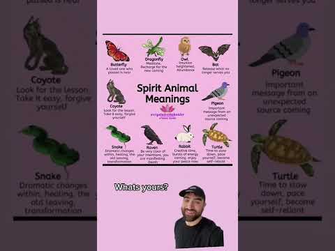 Spirit animal meanings