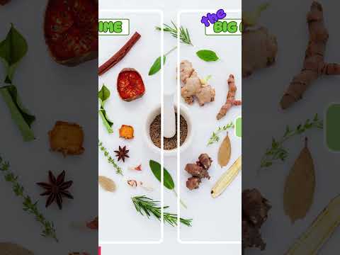 Spices And Where It is Derived From | The Big Brain Time #spices #seasonings #quiz