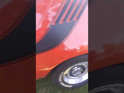 1976 AMC Gremlin #automobile