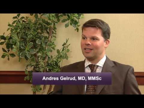 What is the pancreas and what does it do?
