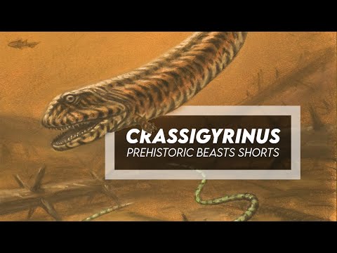 Crassigyrinus - Aquatic Carnivorous Amphibian