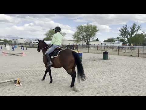 Cloverleaf Obstacle Training – Virtual Working Equitation