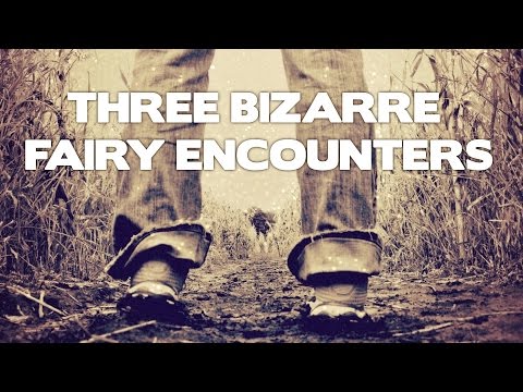 Three TRUE Weird Encounters with Real Fairies (True Fairy Encounter Stories From Reddit)