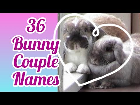 Name Your Rabbits ~ 36 Bunny Couple Names