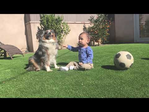 Smart Turf Artificial Grass
