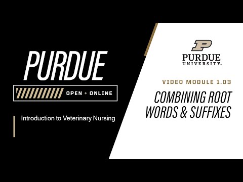 Intro to Vet Nursing | Medical Terminology Combining Root Words and Suffixes | Purdue University