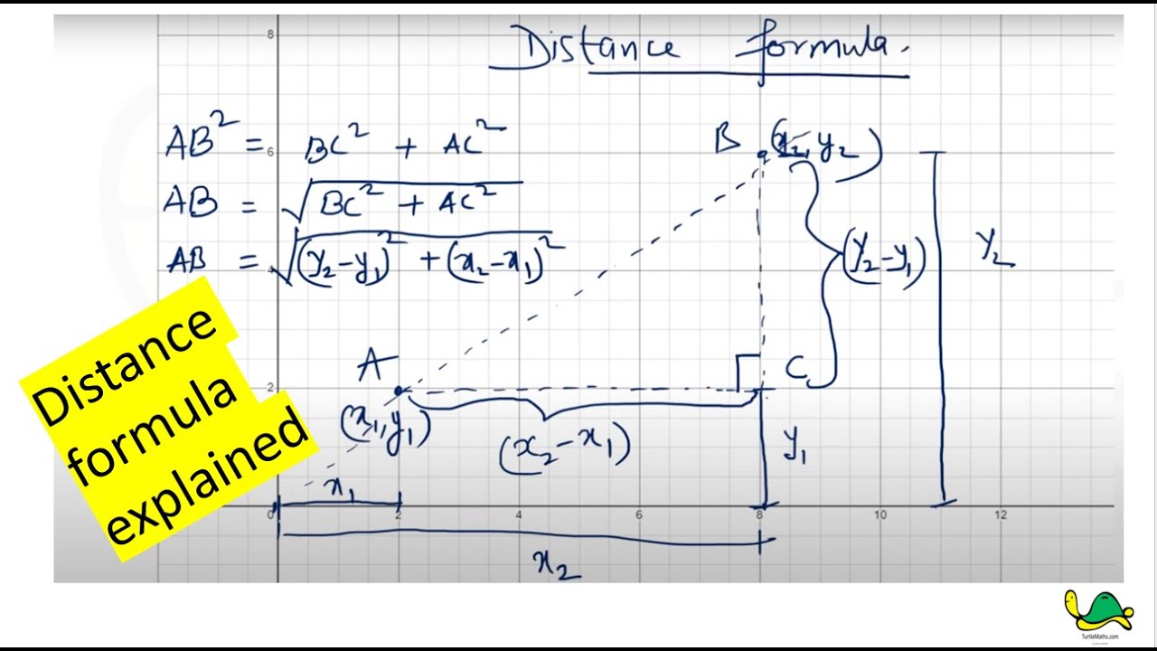 Mastering the Distance Formula | 2D & 3D Explained | Turtle Maths