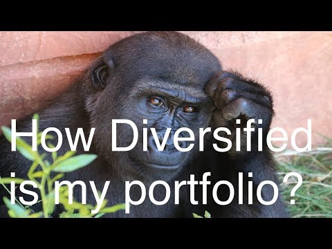 How diversified is your portfolio? Do you know if your portfolio diversification is working?