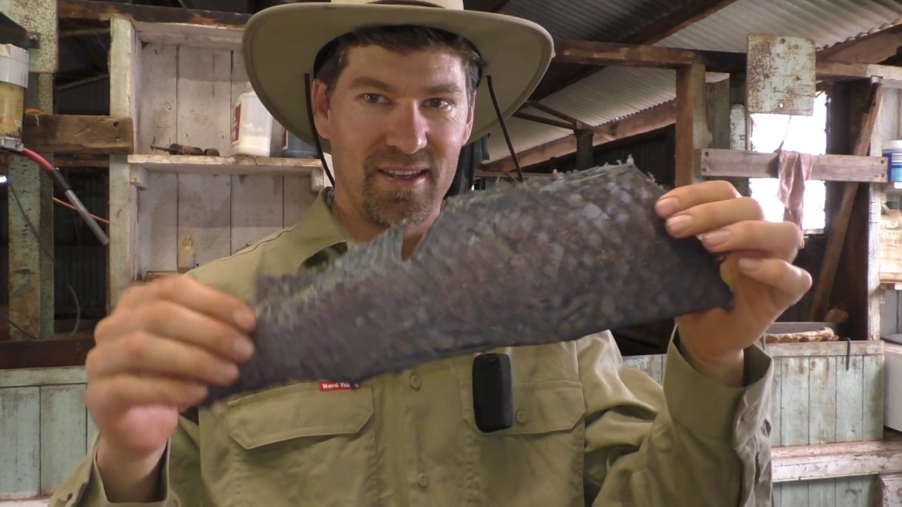MAKING FISH LEATHER - Ep. #15