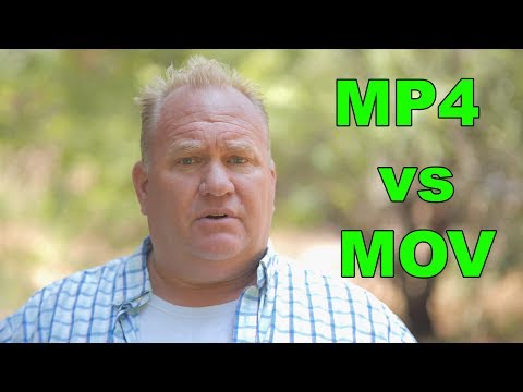 MOV vs MP4. Panasonic GH5s codec shootout!