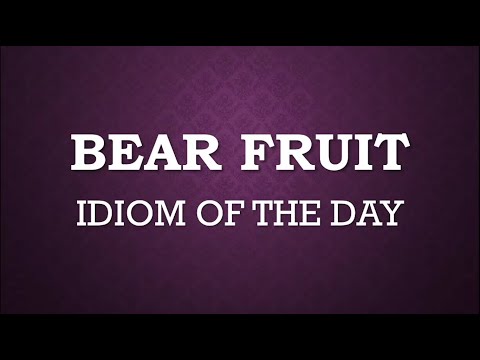 BEAR FRUIT