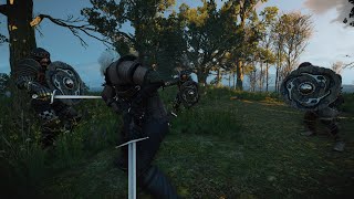 Next Gen Beta v4 - Scenes of combat at The Witcher 3 Nexus - Mods and ...