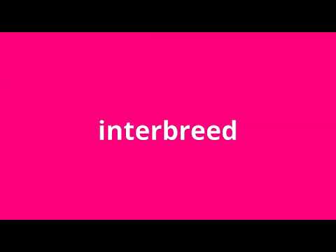 what is the meaning of interbreed.