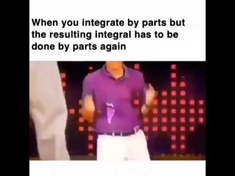 integral calculus meme
