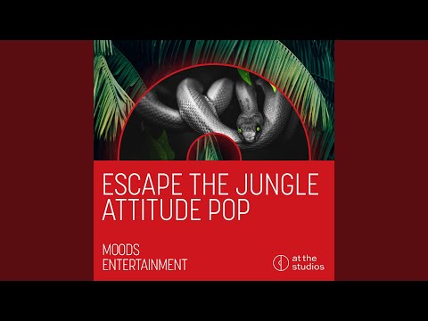In The Jungle