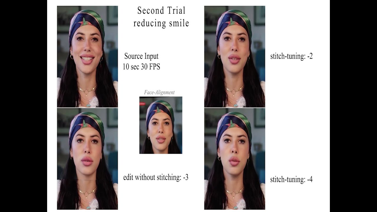 STIT - Stitch it in Time -- Demo Trial