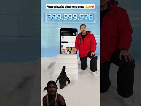 Can I Teacher a Penguin To subscribe? #mrbeast #shortvideo #shorts